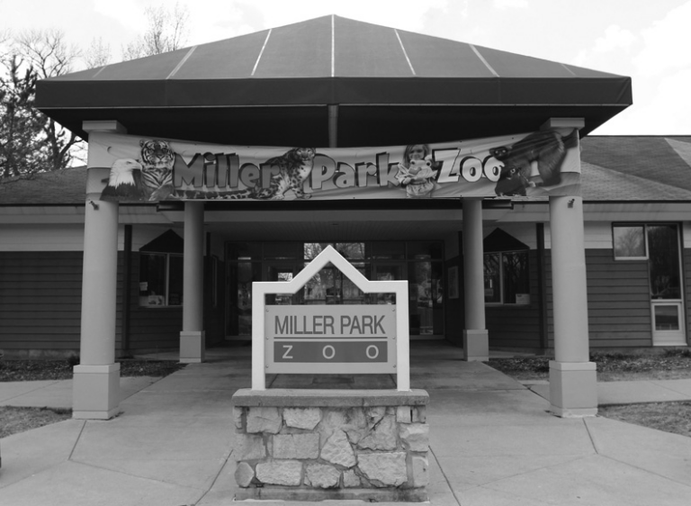 Out and About: spend a day at the Miller Park Zoo – The Argus